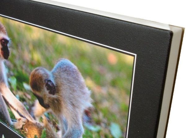 Custom Mounted Canvas Prints | Lazer Art & Frame