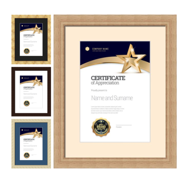 Professional Degree & Diploma Frames for All Your Certificates