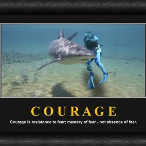 Custom Motivational Posters for Your Office & Workspace
