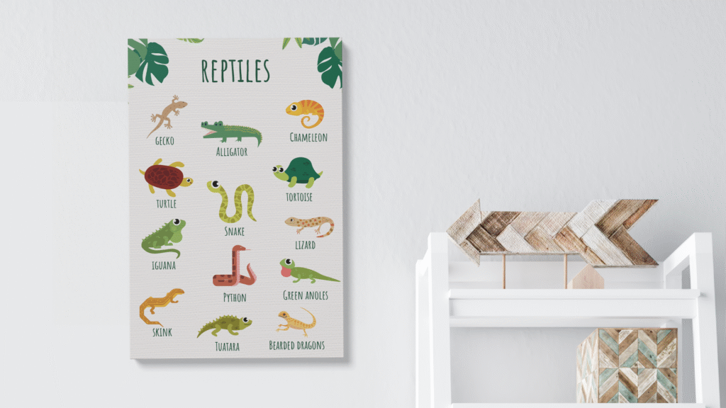 Reptiles Educational Canvas Print - Custom Canvas Wall Art